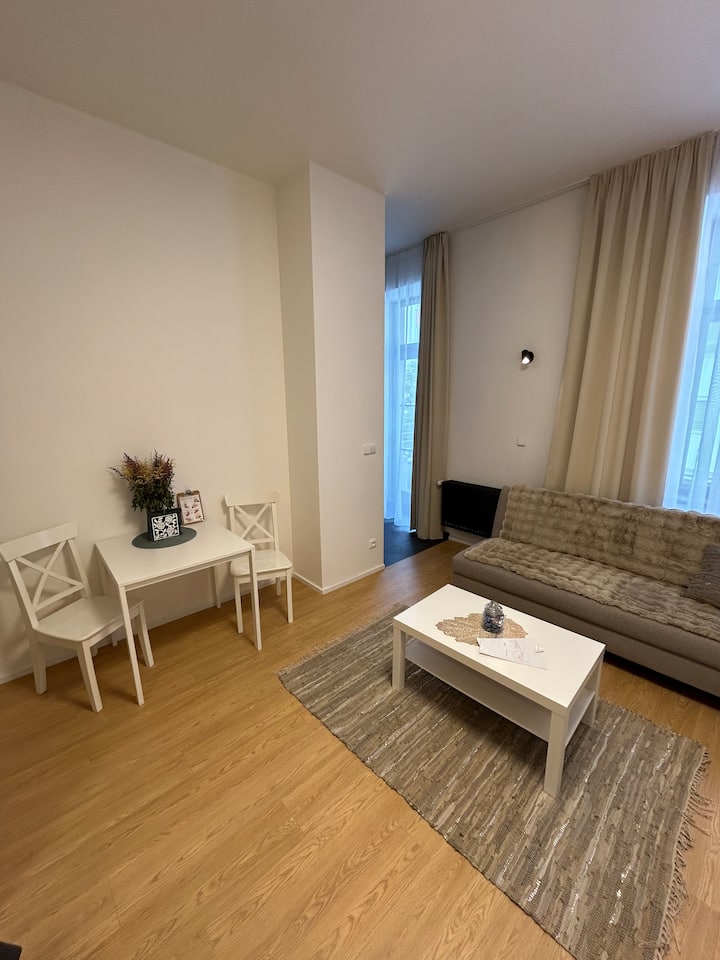 Příjemný, čIstý A Nový Apartmán V Centru Brna. - Brno