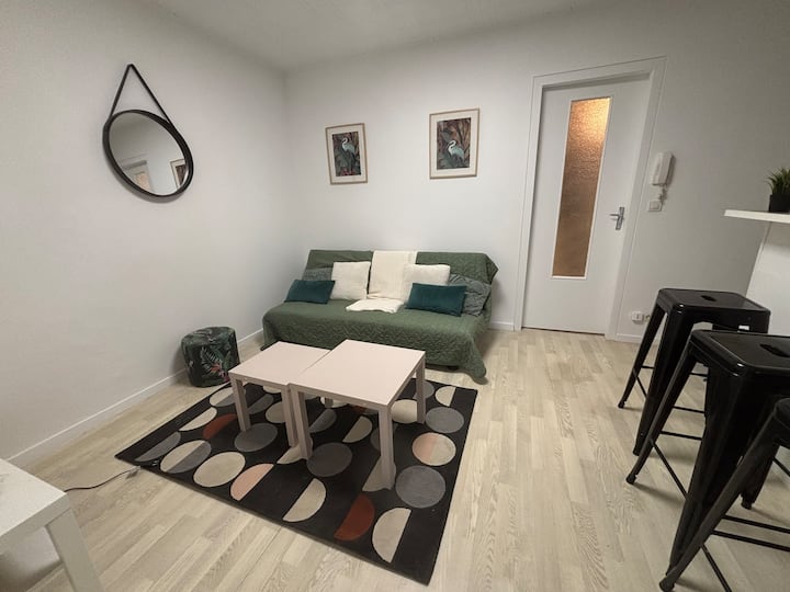 Palmier 2, 4 Couchages Parking Un Séjour à Part - Metz