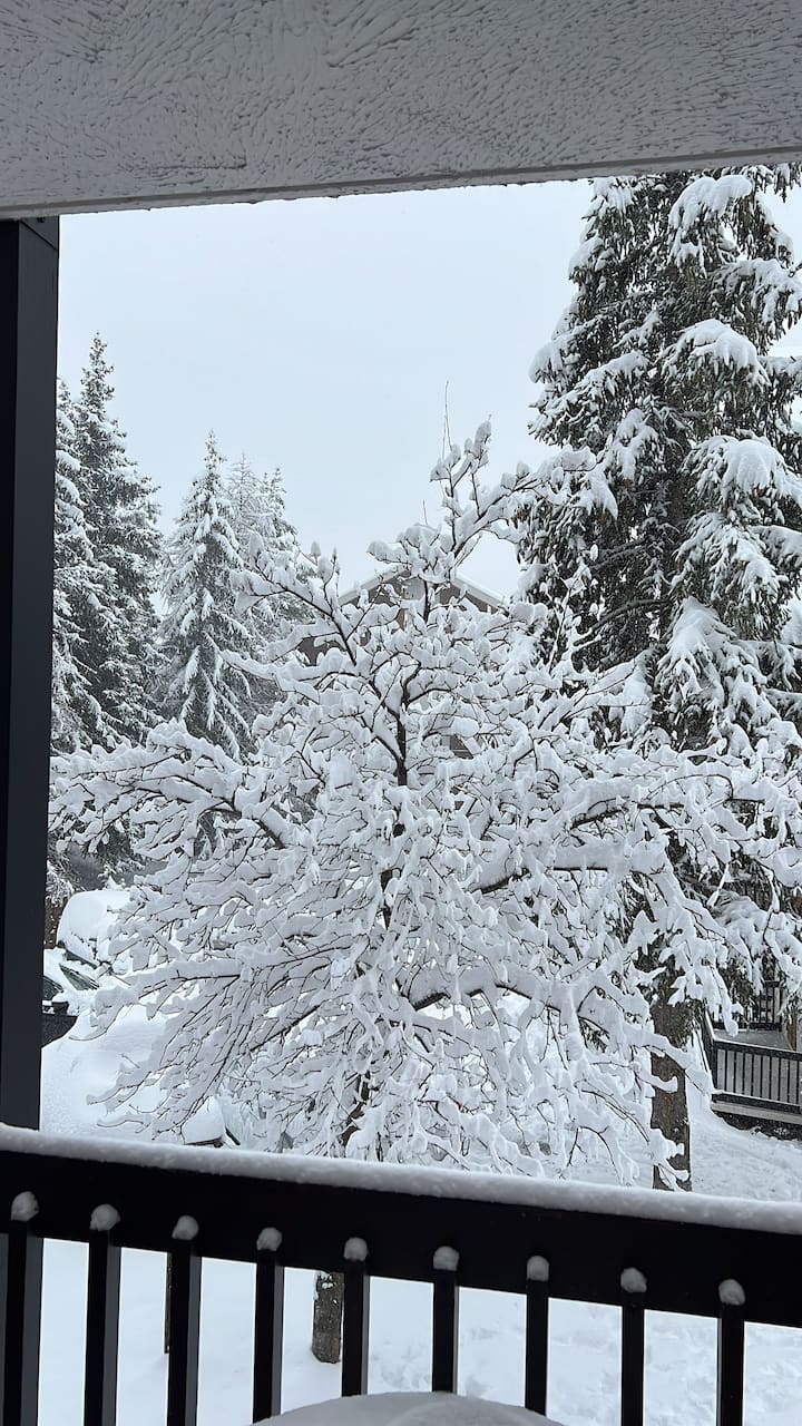 Magnifique Appartement Cocooning - Auron