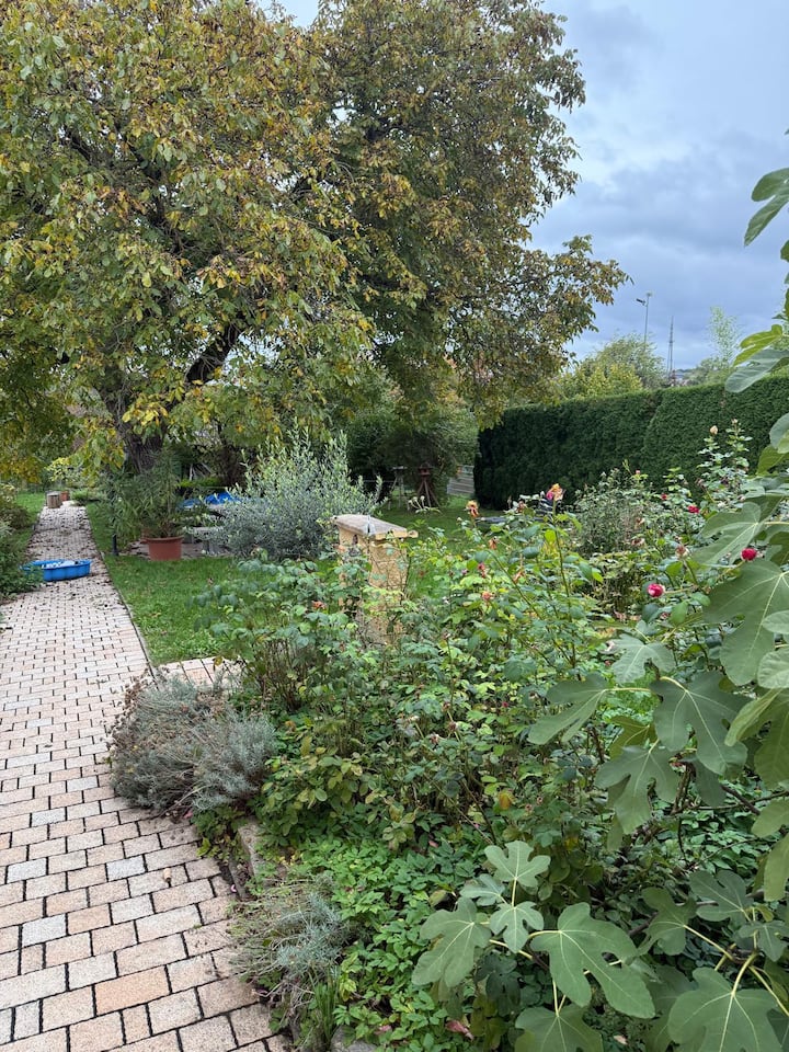 Ein Ruhige Kleine Ecke Im Grünen - Stuttgart
