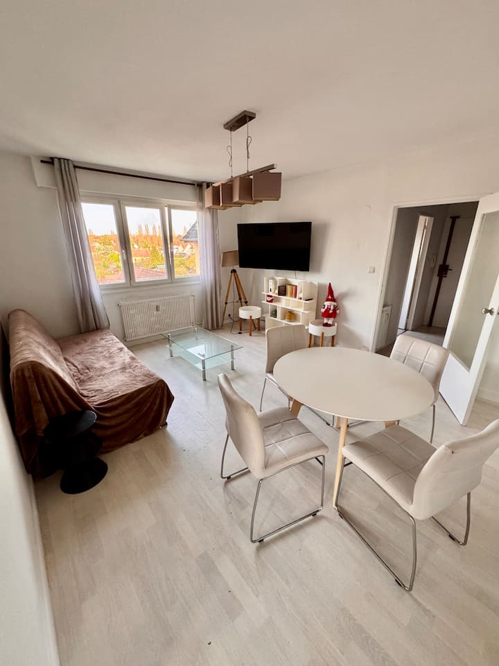 Confort & Calme à Strasbourg Idéal Marché De Noël - Strasbourg