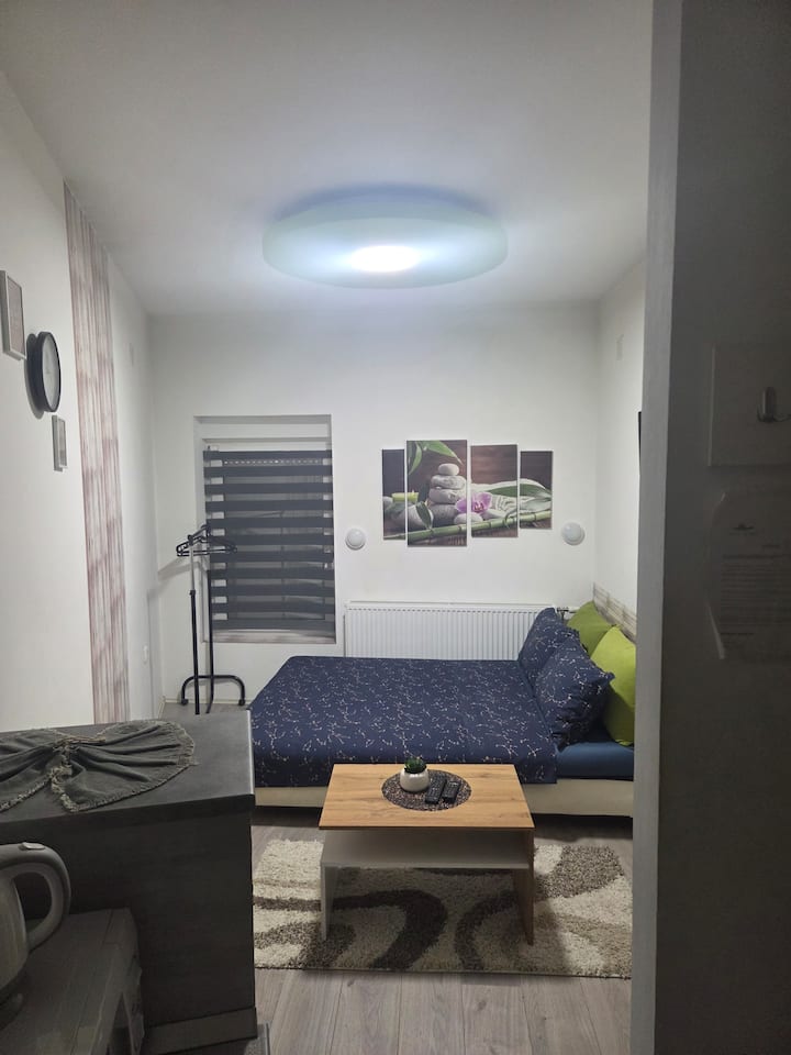 Zen 1 Studio Apartment - Zrenjanin