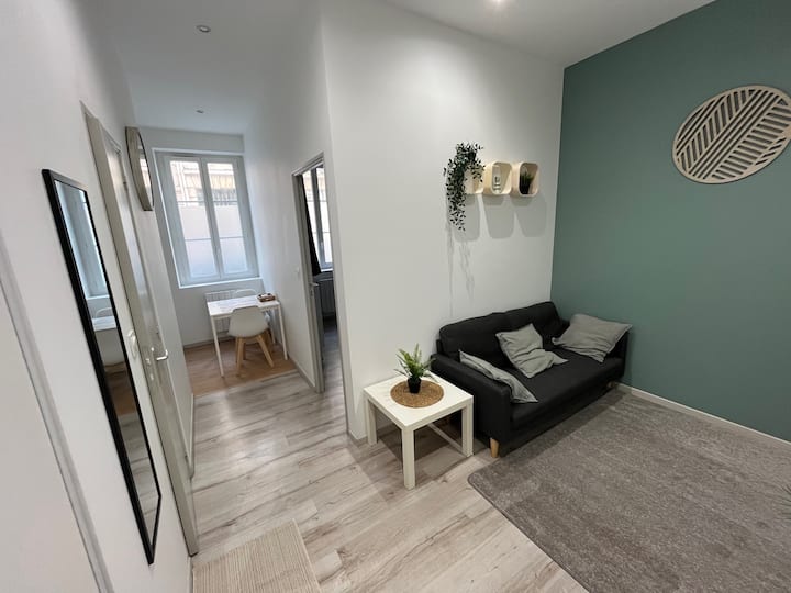 *Charmant T1 Bis Tréfilerie Wifi Tout éQuipé* - Saint-Étienne