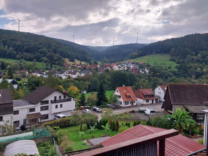 Wald & Bergblick-ruhe In Hirschhorn/ Langenthal - Neckarsteinach