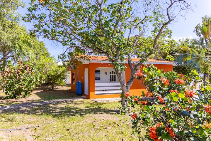 Soñora 

4-pers Bungalow Op Seru Coral Resort - Curaçao