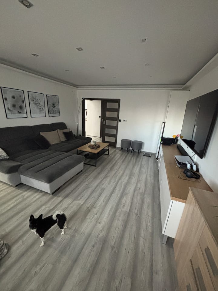 Moderní Byt,domácí Mazlíček,4 Osoby,blízko Centra - Prostějov