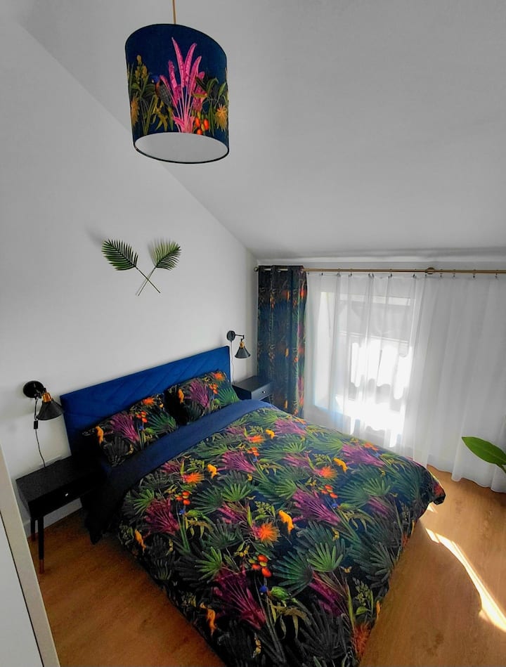 Blue Door Apartments - Dover