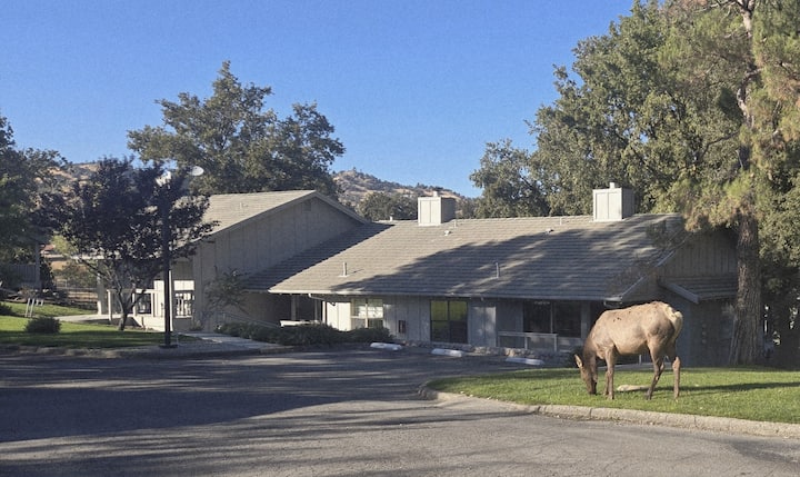 Private Cottage Quiet & Peaceful #4 - Tehachapi, CA