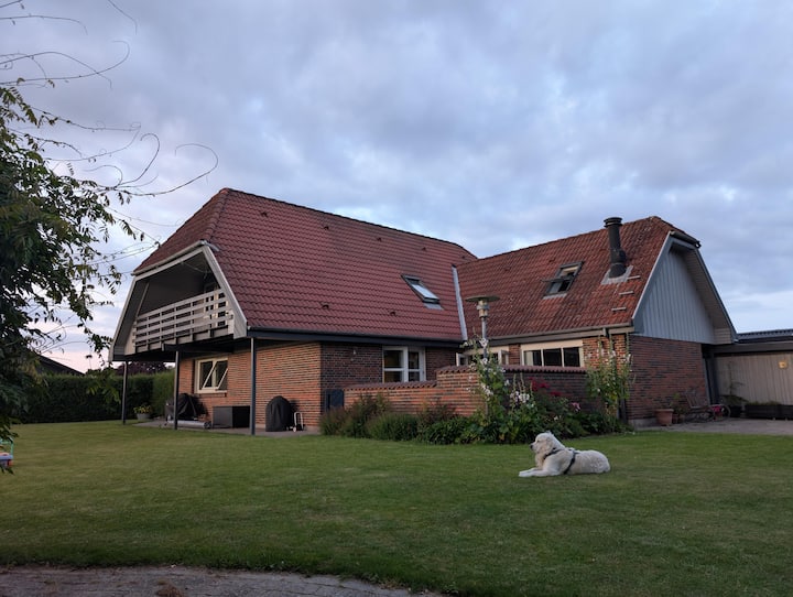 Hyggelig Og Idyllisk. Centralt Og Roligt I éT. - Odense