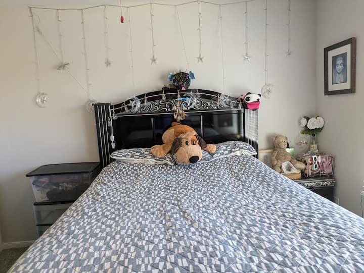 3 Fully-furnished Room For Rent In Lake Conroe - Conroe, TX