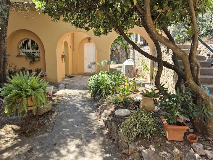 Appartement - L’élixir Provençal - Grasse