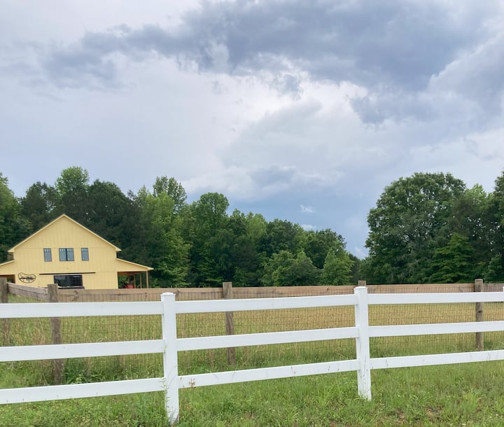 Jellybean Ranch - Slice Of Heaven In Mebane - Saxapahaw