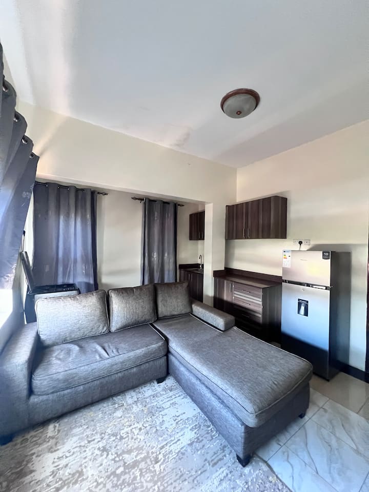 Sparkling Clean Apartment In The Heart Of The City - Kampala