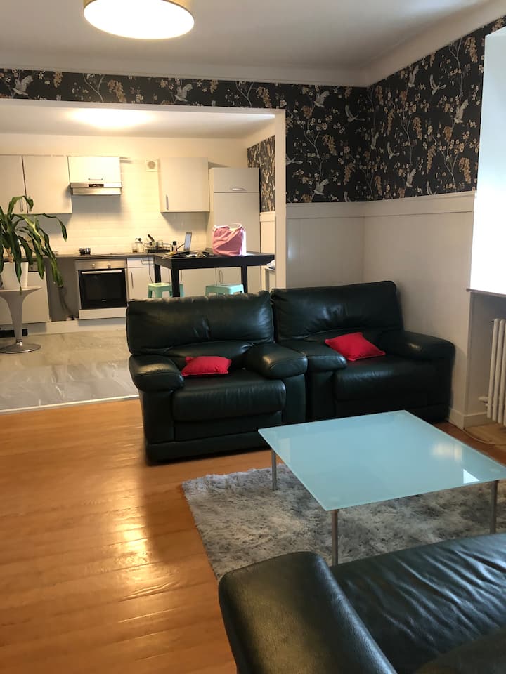 Logement Entier Appartement Une Chambre - 뤽상부르