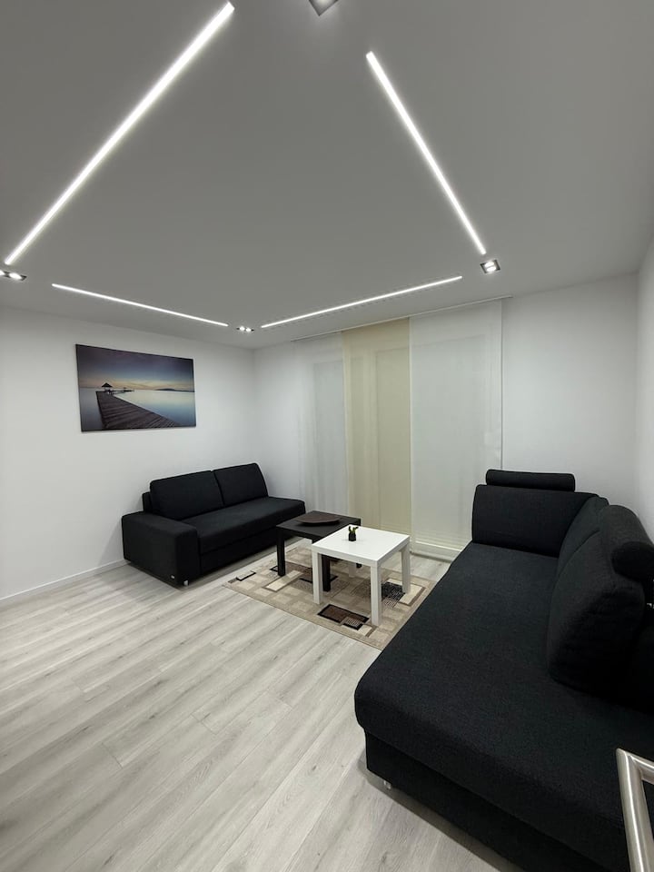 Magnifique Appartement Entièrement Rénové En 2025. - Mulhouse