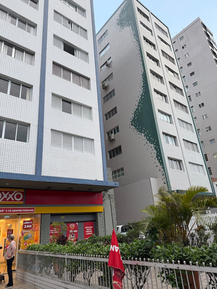 Apartamento De Frente Para O Mar - Santos