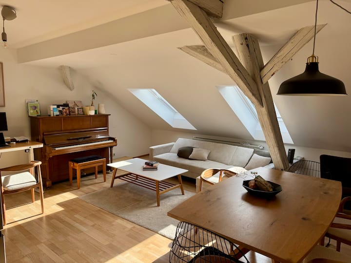 Lichtdurchflutete 2-zimmer-dg-wohnung - Munich