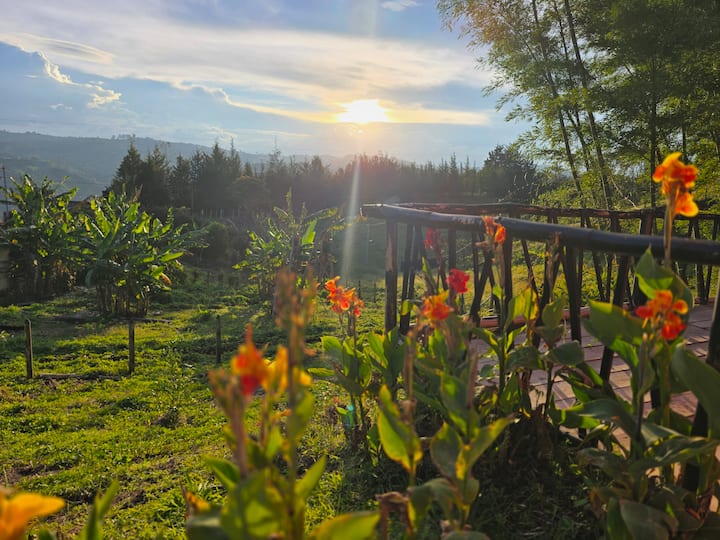 Finca La Preciosura - Peñol