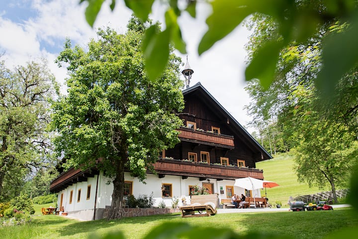 Steinerhof Apartment Enzian - Werfenweng