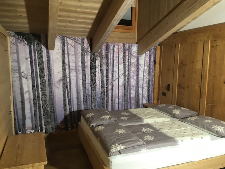 Genzianella - Madonna di Campiglio