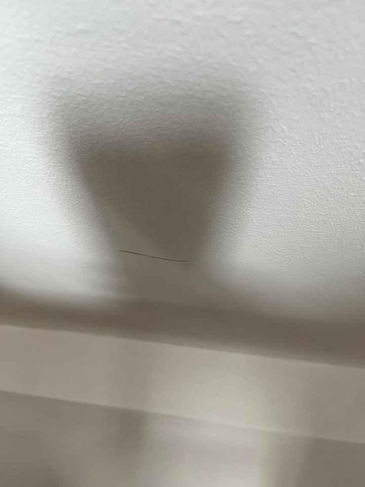 Vacant Nests | The Princess Apt | Free Parking - Hawick