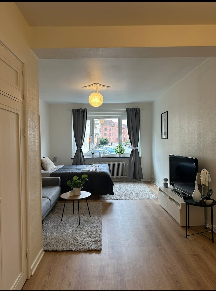 Beautiful Renovated Apartment In Malmö - Malmö
