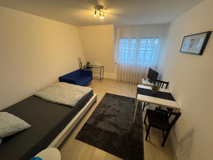 Zentrale, Voll Ausgestattete Wohnung In Mannheim - Mannheim