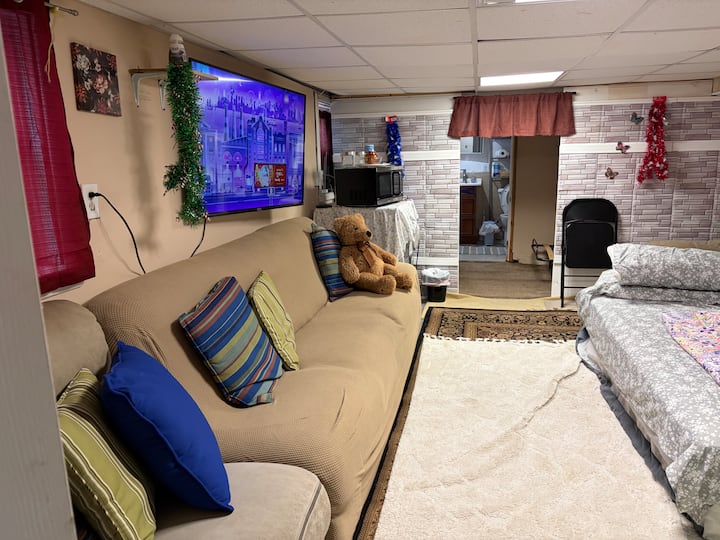 Peaceful Private Basement Suite In Edison - Edison, NJ