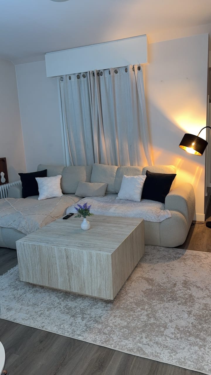 Magnifique Appartement Au Centre De Genève - Geneva