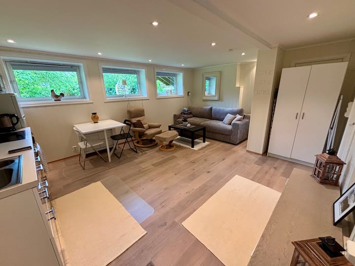 Lys, Sentral Hybelleilighet Ved ØStmarka - Oslo