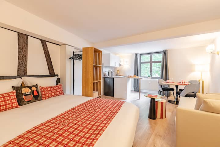 T1 Bis Cœur De La Petite France Et Marché De Noël - Illkirch-Graffenstaden