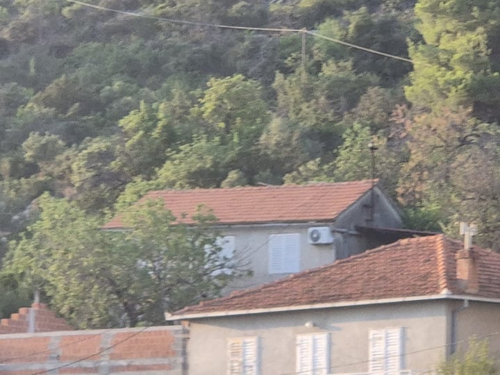 Apartmani Aurelia - Maslinica