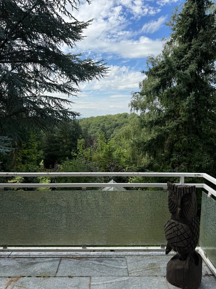 Land-haus Sonnenhang Ferienwohnung Weitblick - Bacharach