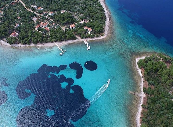 Apartmani Aurelia - Maslinica