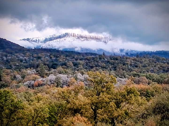 Nature At Its Best - Sequoia National Park