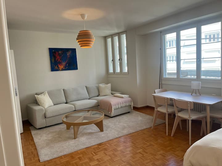 Nice Studio - Eaux-vives - Genf