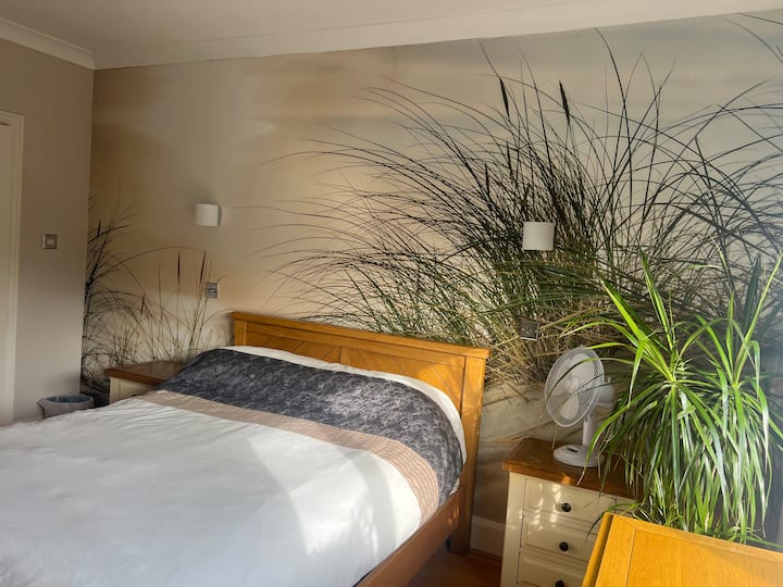 Short Walk To The Sea Front. - Christchurch