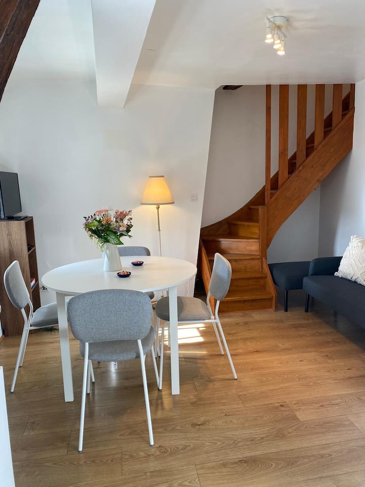 Le Duplex Cosy - Orléans