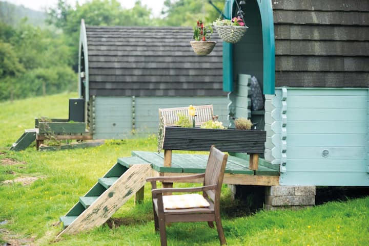Chick At Greenfields - Pembrokeshire