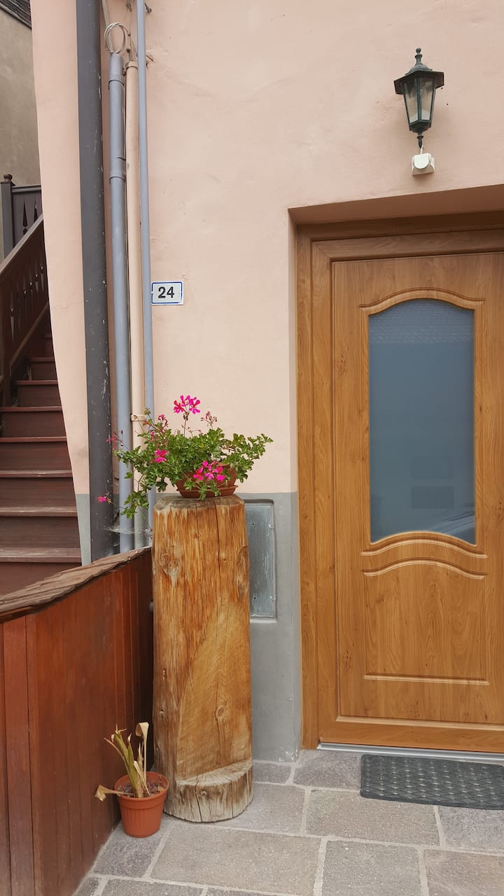 Casa Fiocco Di Neve - Ziano di Fiemme