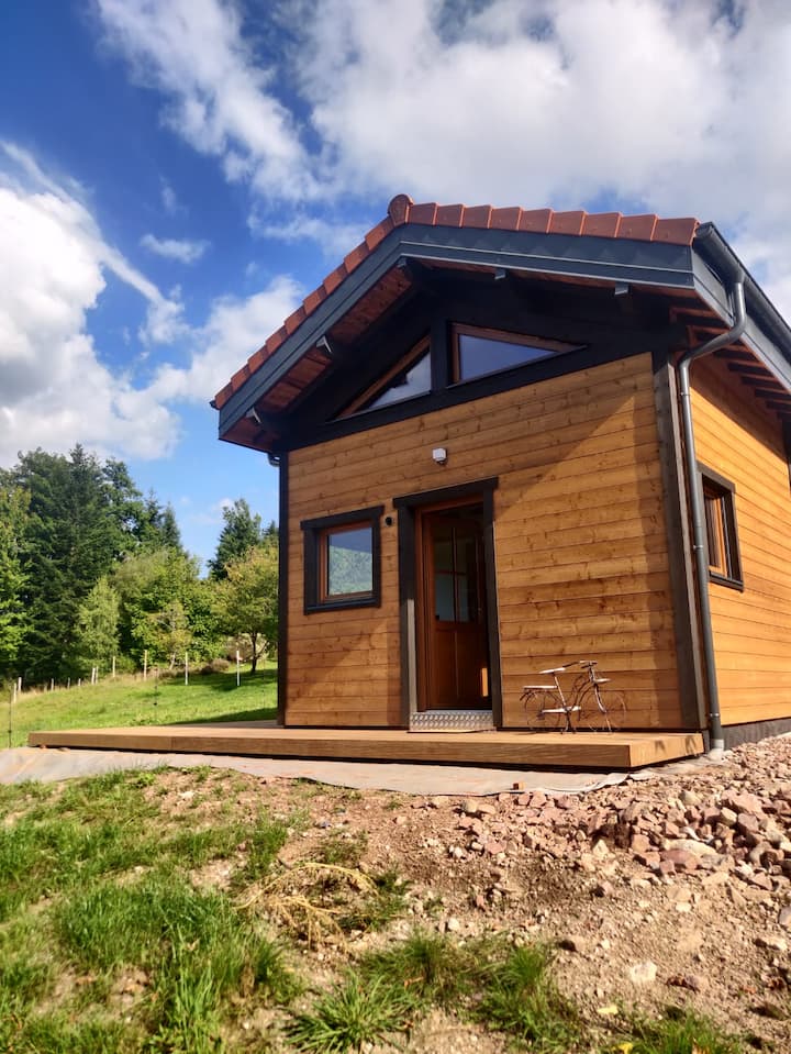 Le Chalet : La Libellule - Ventron