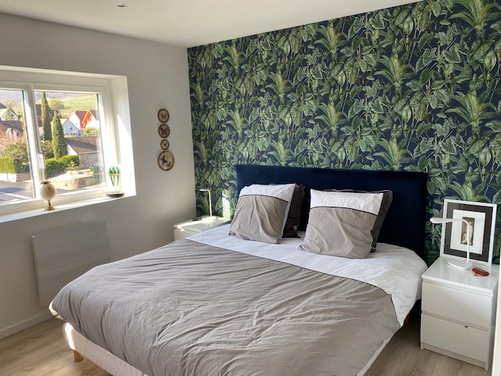 Au Milieu Des Vignes 2 Chambres D’hotes Spacieuses - Riquewihr