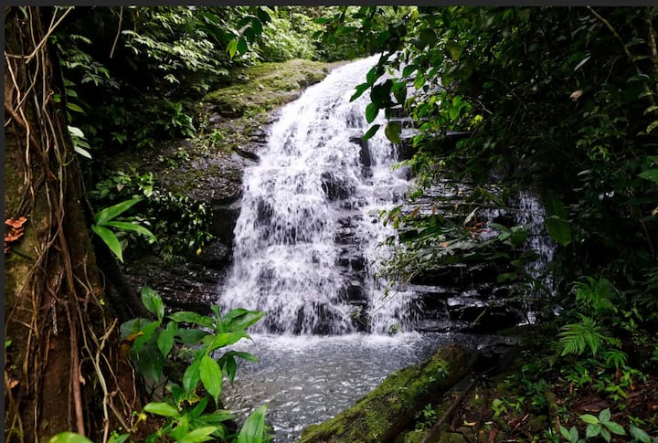 Huge Waterfall Lodge -Pool -Views (Sleeps 23) - Costa Rica