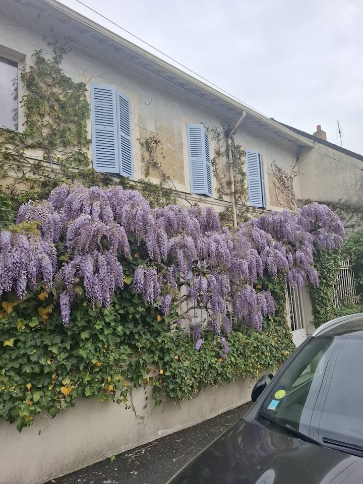 Espace Détente Dans Belle Maison Bourgeoise - Fontenay-Trésigny