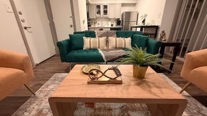 Walk To Nrg | Modern Med Center Stay + Parking - Houston Zoo, Houston