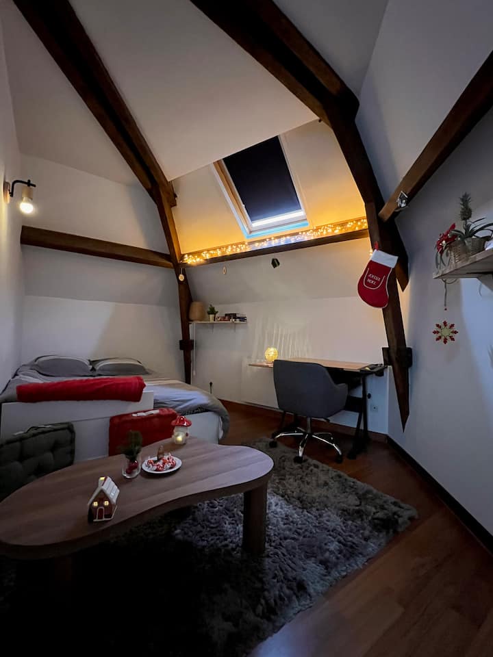 Studio Chaleureux D’hiver • Proche Centre - Carquefou