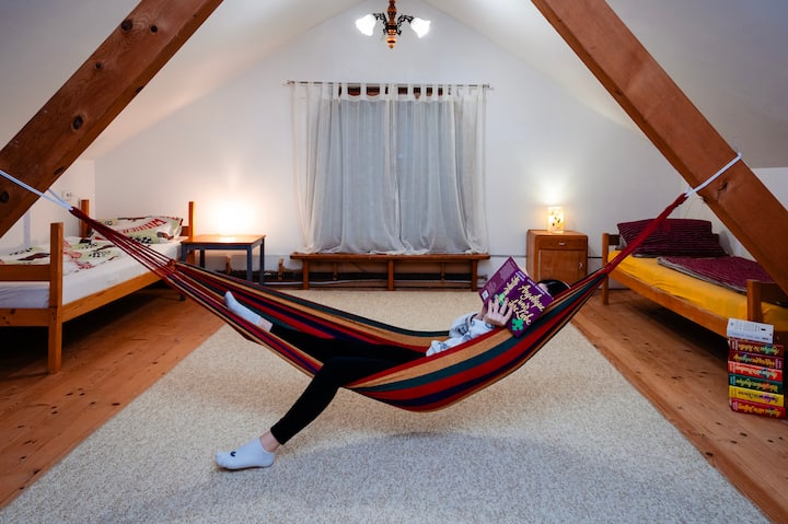 Mansarda-spațioasă Si Luminoasa - Vulcan