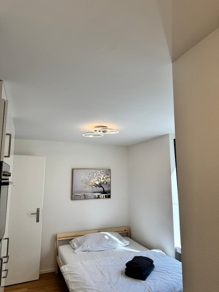 Mc Neal Appartement Im Zentrum - St. Gallen