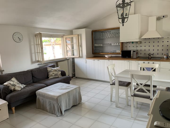 Appartamento A 300 Metri Dalla Spiaggia - Viareggio