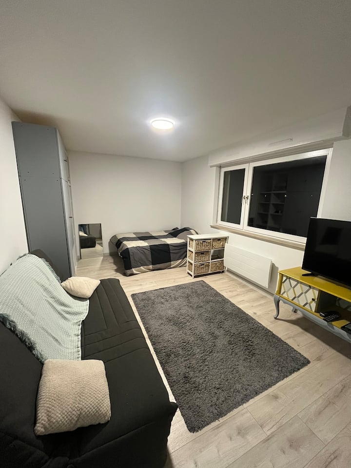 Appartement Sarreguemines - Sarreguemines